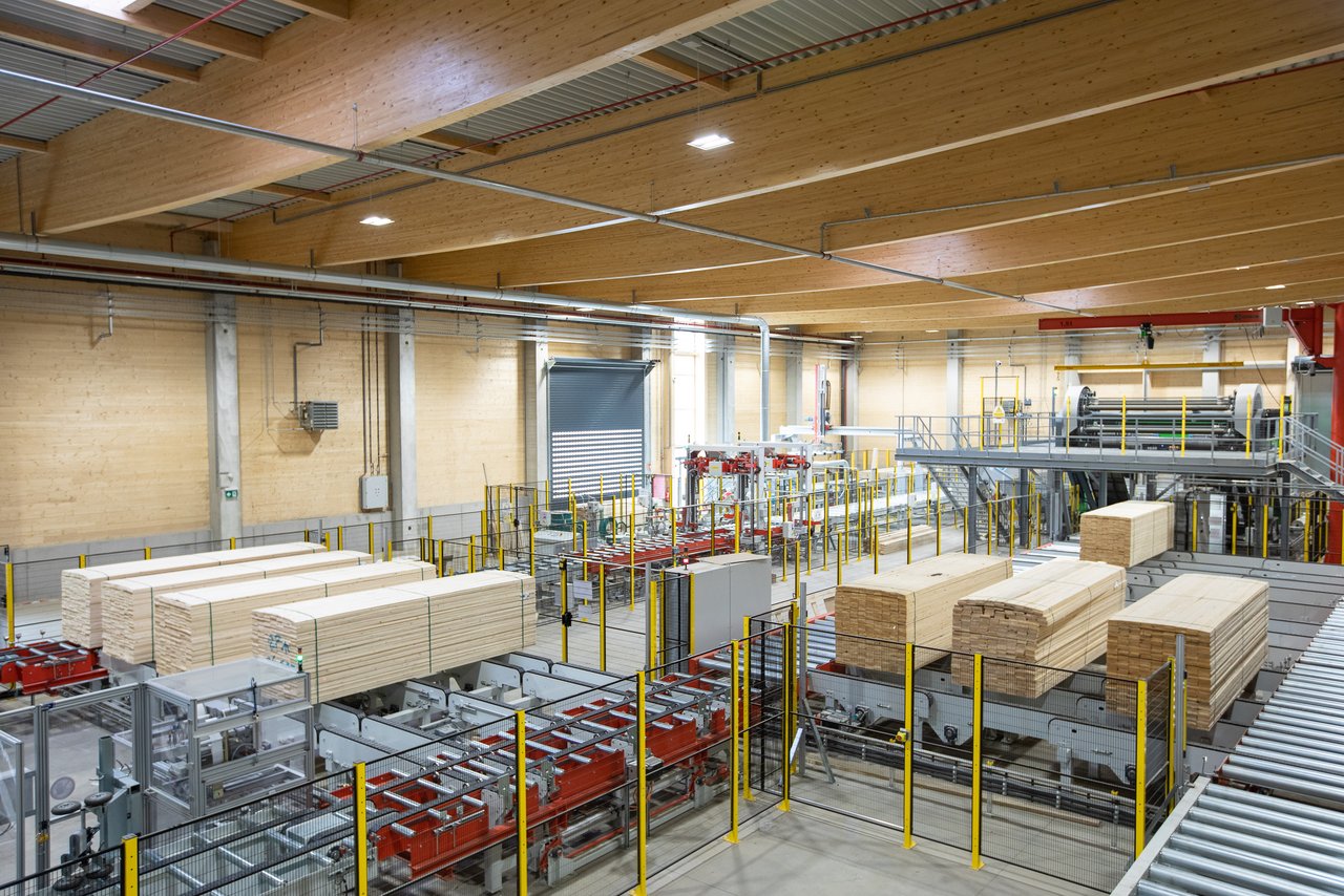 MM TIMBER LOG: Der Kreislauf für unsere Zukunft - MM Holz